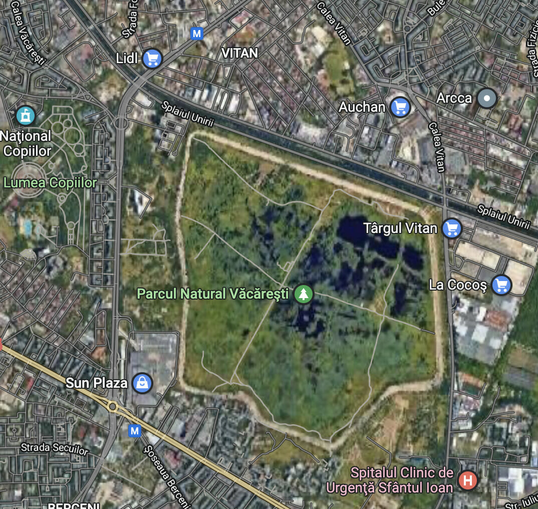 Ce ne învață 10 ani în Parcul Văcărești despre cum să conservăm natura ...